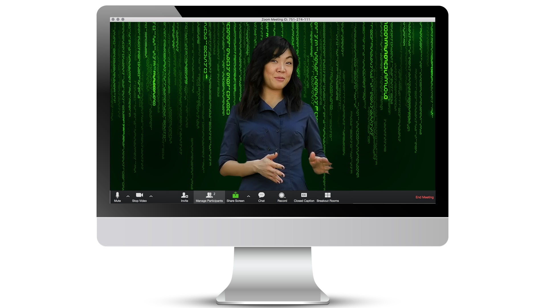 FREE Matrix Inspired Zoom / Online Meeting Virtual Background – Virtual ...